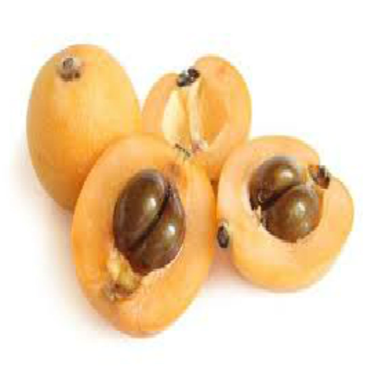 Nèfle KG - Le potager du soleil